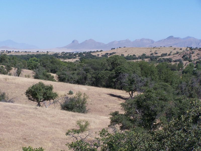 Canelo Springs Ranch - Santa Cruz County Arizona - Headquarters West