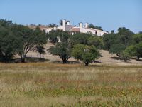 Canelo Springs Ranch - Santa Cruz County Arizona - Headquarters West