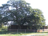 Double JK Ranch - Santa Cruz County, Headquarters West Ltd.