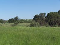 Double JK Ranch - Santa Cruz County, Headquarters West Ltd.