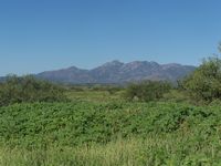 Double JK Ranch - Santa Cruz County, Headquarters West Ltd.